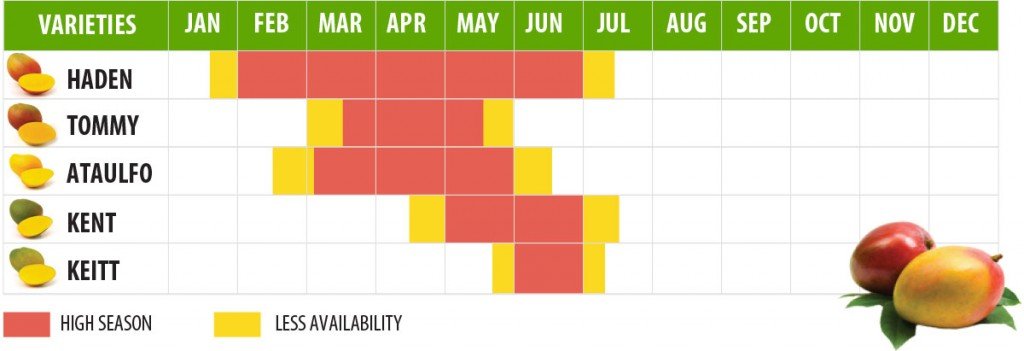Our Mangoes – Colibri Fruit